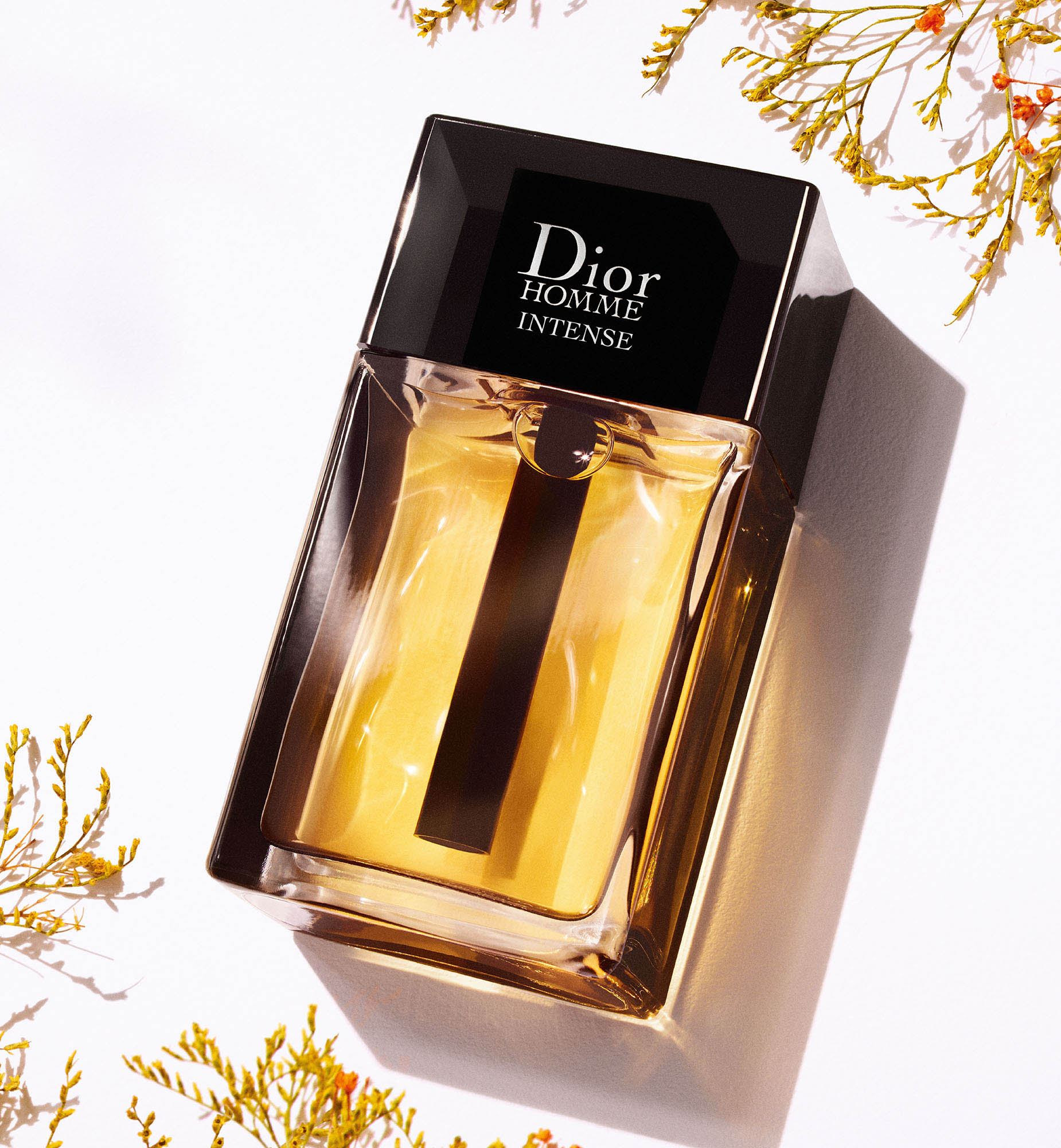 Dior Homme Intense - Dior Homme - Dior | Tienda Online